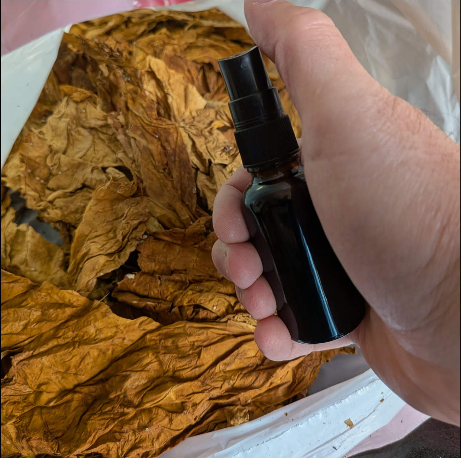 First pressing of 2026, a pictorial